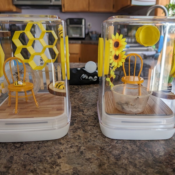 Jumping Spider Enclosure, Bee Themed, Decorated Terrarium. - Etsy