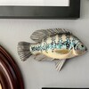 Halibut Fish Blank, 16-20 Inches 3D Wall Mounted Fish Blank, One Side ...