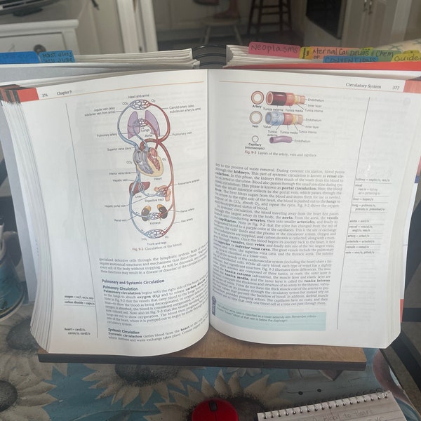 2-sided Medical Coding Rotating Book Carousel Stand Wood Cooking ...