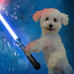 Chippy Snuggle Plush - Etsy