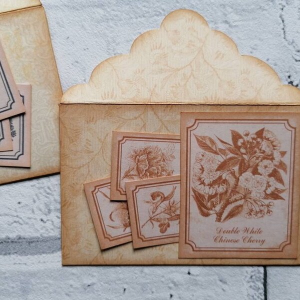 Rock, Mineral, Crystal and Fossil Specimen Cards and Labels - Field ...