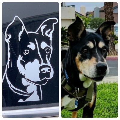 Pet Welcome Sign/ Pet Door Sign/ Dog Door Sign/pet Portrait Wreath/ Dog ...