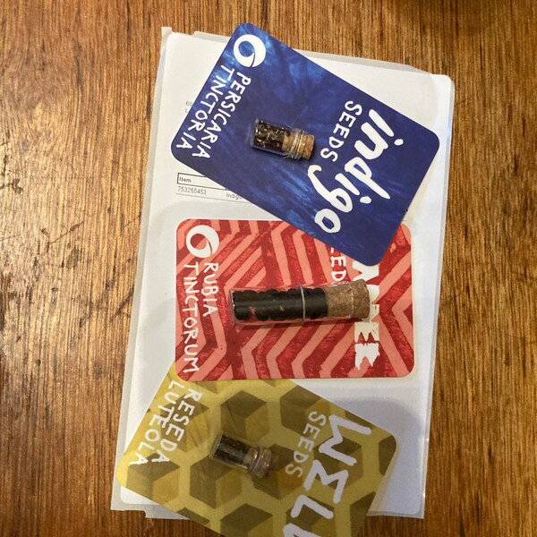 Weld Seeds : Yellow Natural Dye Plant - Etsy