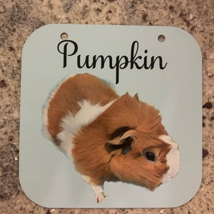 Guinea Pig Name Tag Guinea Pig Accessories Pet Tag Guinea - Etsy