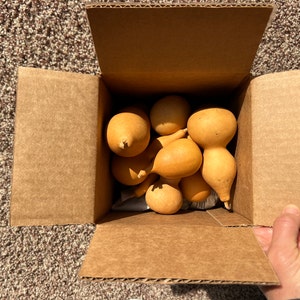 Natural Grapevine Garland. 25ft Roll - Etsy