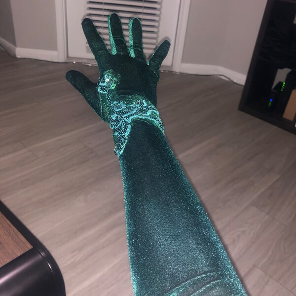 Human Viscera Collection - Etsy