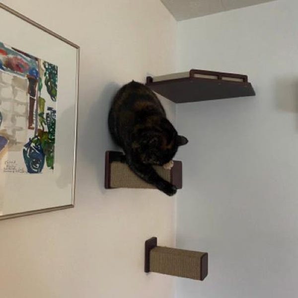 Cat Shelf for Wall, Cat Wall Furniture, Cat Shelves, Cat Platform for ...