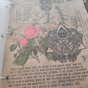 6 Different Antique Garden Roses Seed Packets DIGITAL Sheet | Etsy