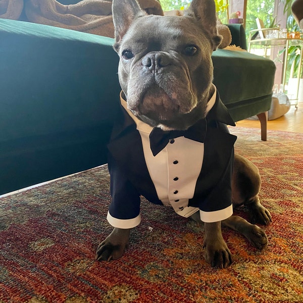 Navy Blue Dog Tuxedo With Light Blue Bow Tie Bespoke Dog Tux Dog Wedding Attire Formal Dog Suit ...