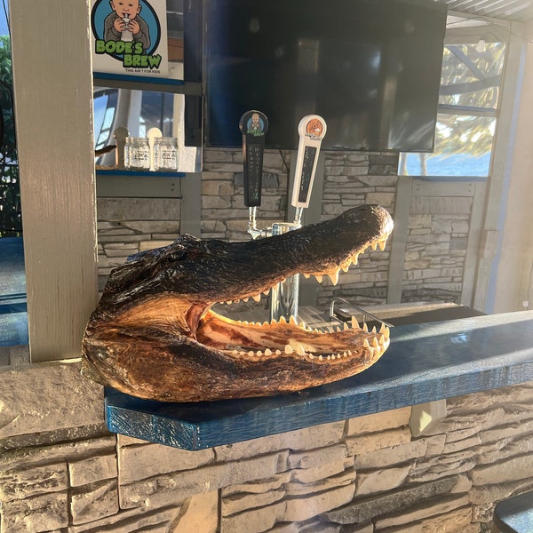 Huge Jumbo Gigantic Colossal Genuine Alligator Skulls up to 23" From ...