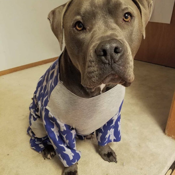 Large Dog Pajamas Pattern Size 4XL, Sewing Pattern, Dog Clothing ...