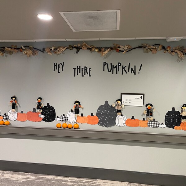 Black and White Pumpkins - Fall - Halloween - Bulletin Board Kit - Etsy