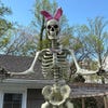 12 Ft Skeleton Pirate Costume!!!! (skelleton Not Included) - Etsy