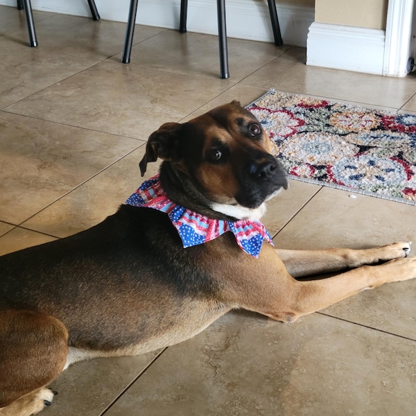 Dog Bandana PDF Sewing Pattern - Unique Flower Power Elasticated Dog ...