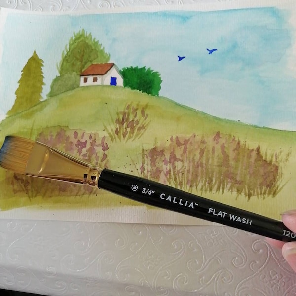 Callia Fine Super Round Brush Set - Etsy