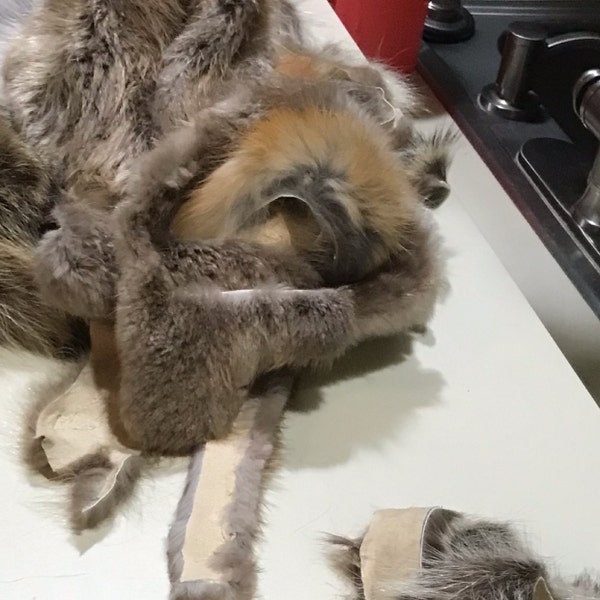 Genuine Animal Fur Scraps, Fox Scraps, Coyote Scraps, Raccoon Scraps ...