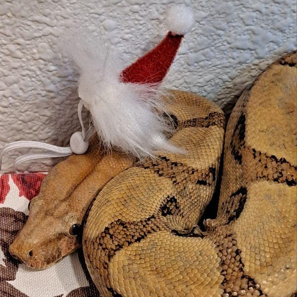 Rainbow Pot Leaf Patch Iron on Applique Marijuana - Etsy