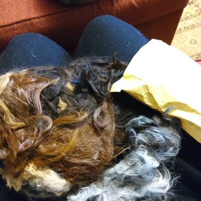 Rainbow-mix Suri Alpaca Fleece and Hand-dyed Suri Locks Spinning and ...