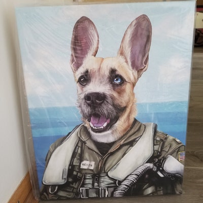 Fighter Pilot Pet Portrait, Custom Pet Portrait, Pet Portraits ...