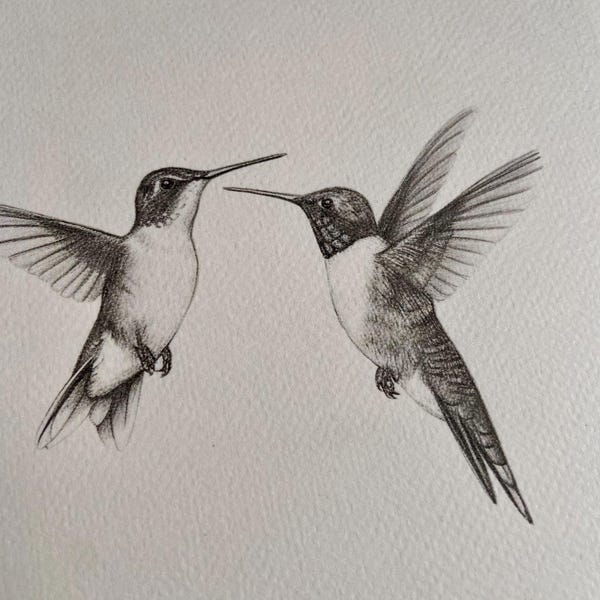 Vintage Art Print, Two Hummingbirds Sketch Print, INSTANT Digital ...