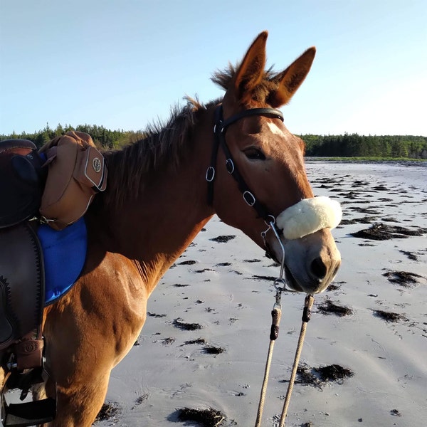 Anatomical Bridle - Verity Bit Lifter for Mouthy / Sensitive Horse ...