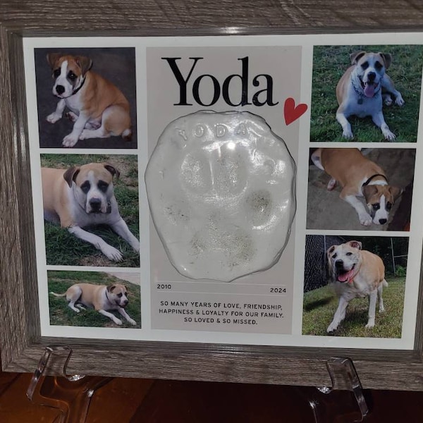 Pet Memorial Gift With Collar and Clay Paw Print Shadow Box, Clay Paw ...