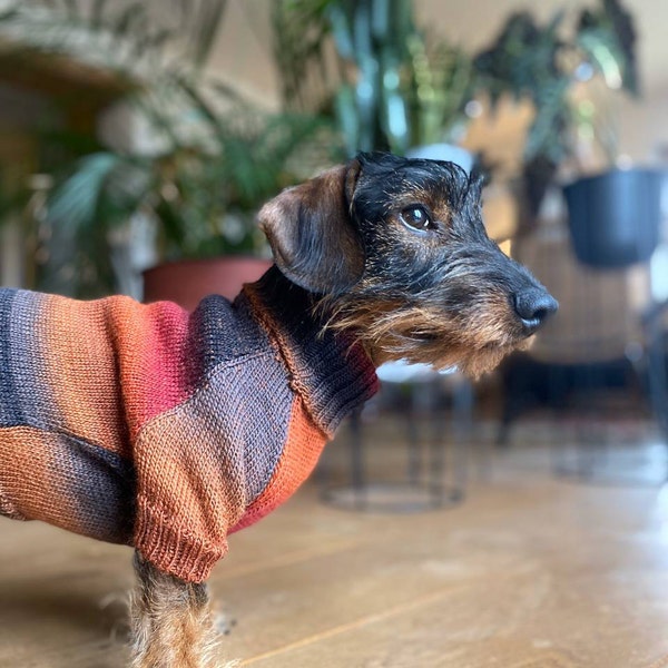 Dachshund Sweater - Dog Clothes - Dog Clothing - Dog Sweater ...