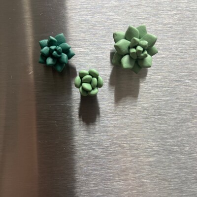 Succulent Magnets or Pushpins, Cactus Magnets or Pushpins, Succulent ...