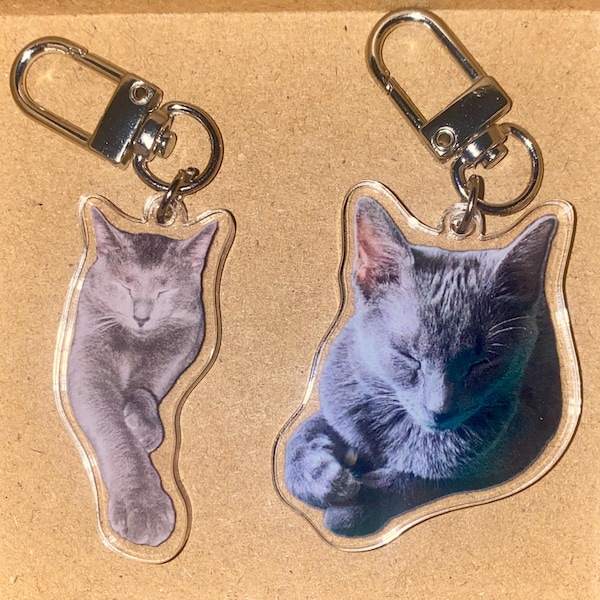 Custom Cat Keychain, Dog Keychain, Pet Keychain, Personalized Pet Photo ...