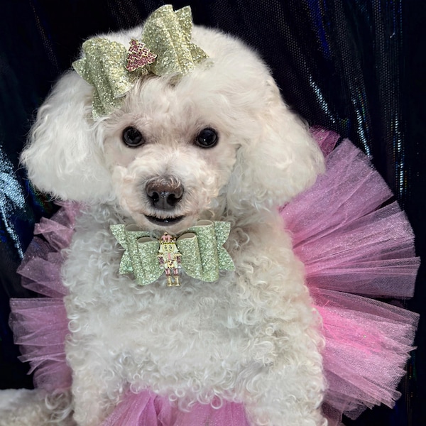 Fancy Dog Bows. Black and Red Glitter . Small Dog Bows for Girl Dogs or ...