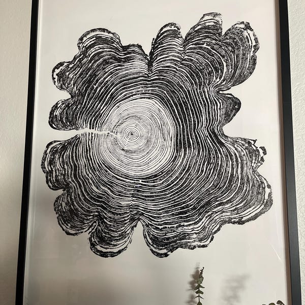 Western Red Cedar, Tree Ring Print, Black and White Tree Ring Print ...