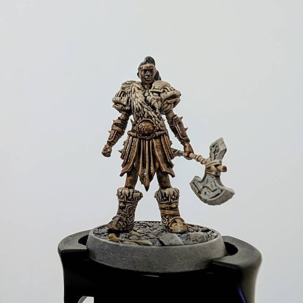 D&D Human Fighter/paladin | Standard Bearer | 3D Printed Resin ...