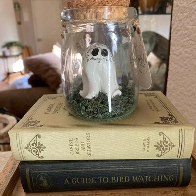 Large Witchcraft Mystery Box Gift Set Surprise Witchcraft DIY Occult Blind Date With a Witch ...