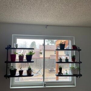 Floating Plant Tree Shelf With Water Edge Drip Groove - Etsy