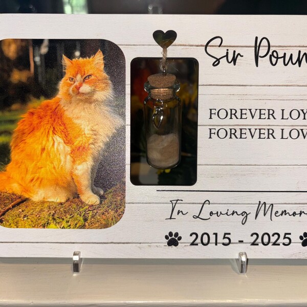 Pet Urn for Ashes, Keepsake Box, Wood Box for Ashes, Dog and Cat ...