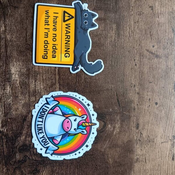 Warning Cat Vinyl Sticker | Funny Cat Lover Decal | Water-resistant ...