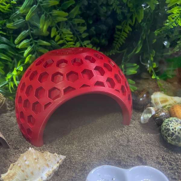 Aquarium Corner Cave Underground Viewing Hide Kuhli Loach Dojo Loach ...