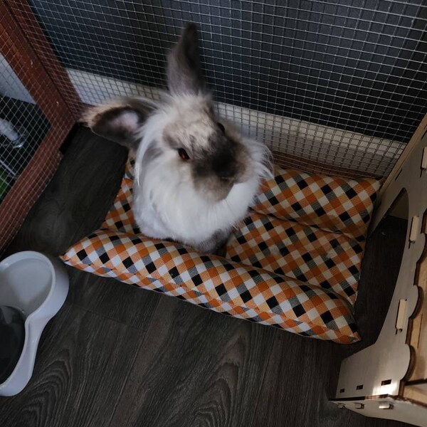 Loaf Lounger - Bunny Bed for Pet Rabbits - Etsy