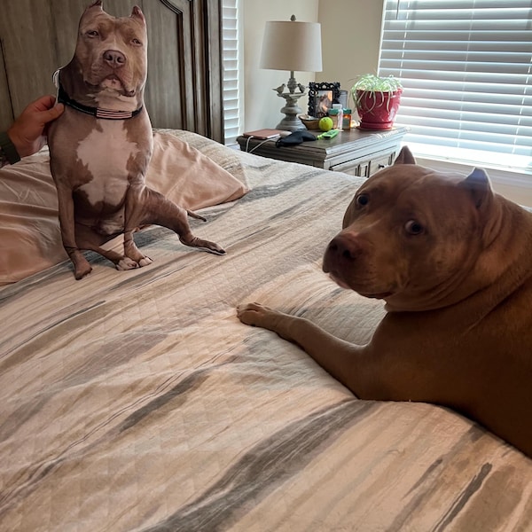 Moo Deng | Moo Deng Keychain | Moo Deng | Hippo Car Accessories | Moo ...