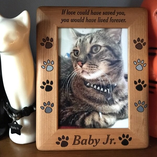 Personalized Photo Frame, Engraved Wood Frame, Cat Lover Gift, Pet Loss ...