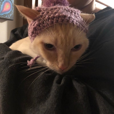 Easy Crochet Adult Cat Hat Beanie Pattern 336 DIGITAL DOWNLOAD ONLY - Etsy