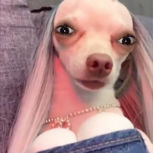 Bling Skeleton Iron On, Rhinestone Bones, Bedazzled Skeleton Iron On ...