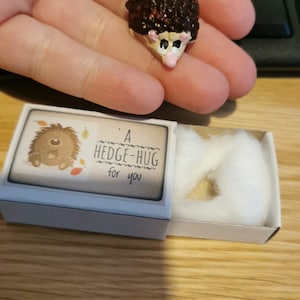 A Hedge-hug for You in a Box Mini Prickly Hedgehog Gift - Etsy