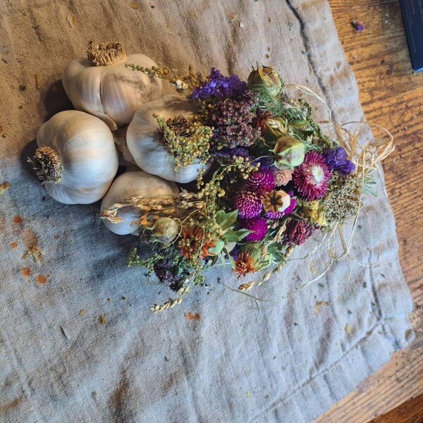 Set of TWO Small Organic Garlic Braids, Free Shipping, Italian House ...