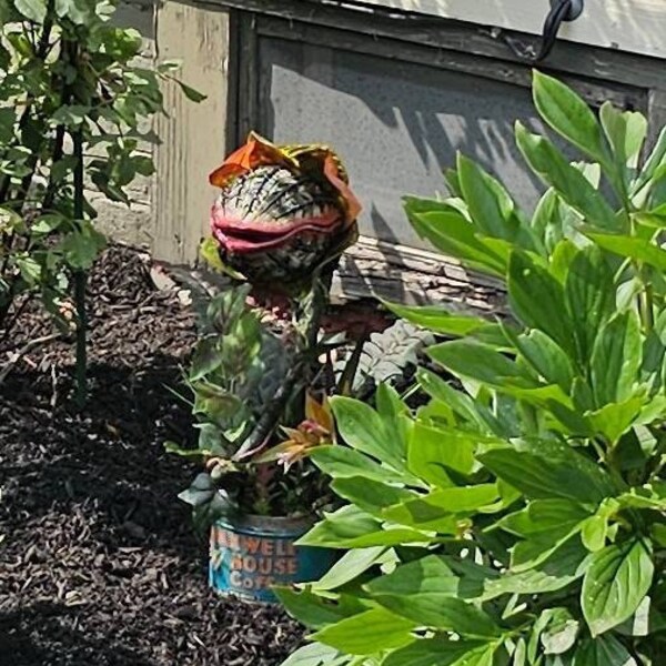 Massive Life Size Audrey 2 Replica Movie Prop Little Shop of Horrors ...