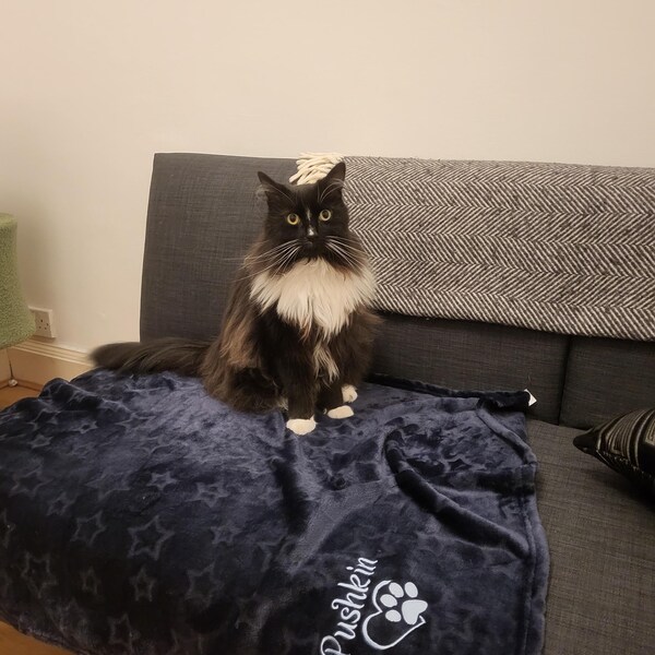 Personalised Elf Arrival Envelope or Elf Return: NORTH POLE Envelope ...