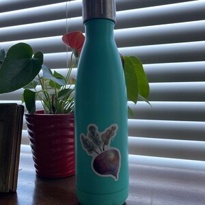 LGBTQ Pride Vegetable Flower Sticker 3x1.75/ Hand Painted / Farmer ...