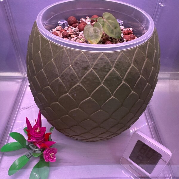 GANSAL Slat Planter Pot 4, 5, 6, 7 Wide Clear Pot With Drainage ...