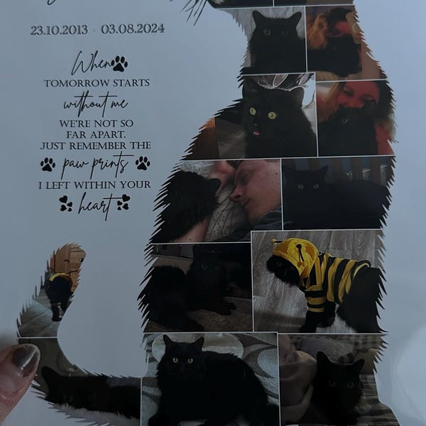 Cocker Spaniel Photo Collage Print, Personalised Pet Lover Gift, Pet ...