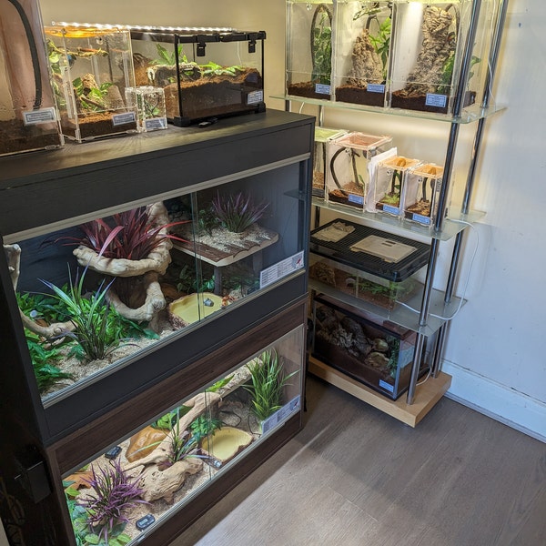 Small Terrarium Label Laminated Enclosure Label Exotic Pet Informative ...